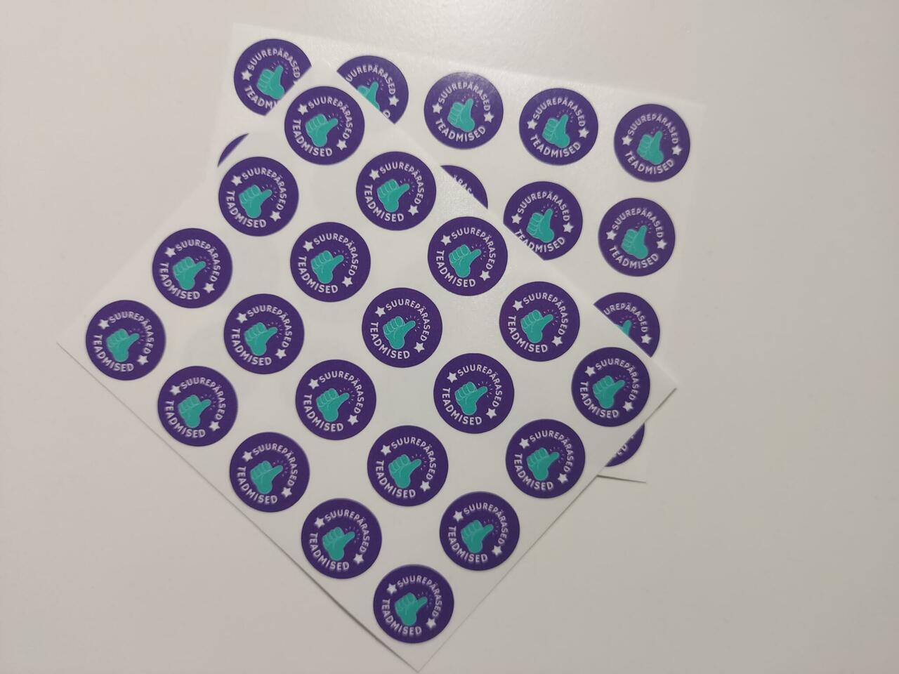 Kleebised - suurepärased teadmised – Aktiivnetund