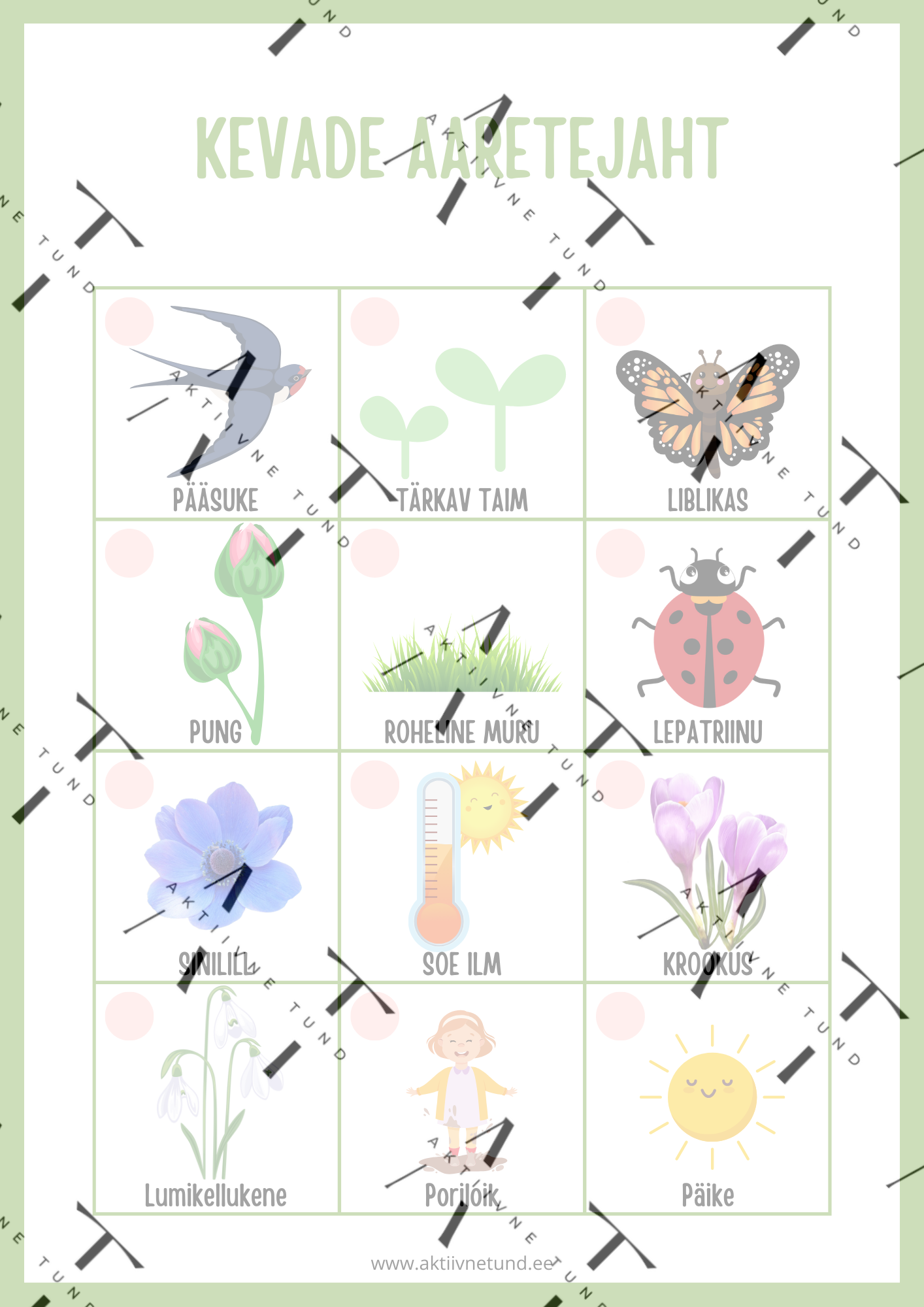 Kevade aaretejaht – Aktiivnetund